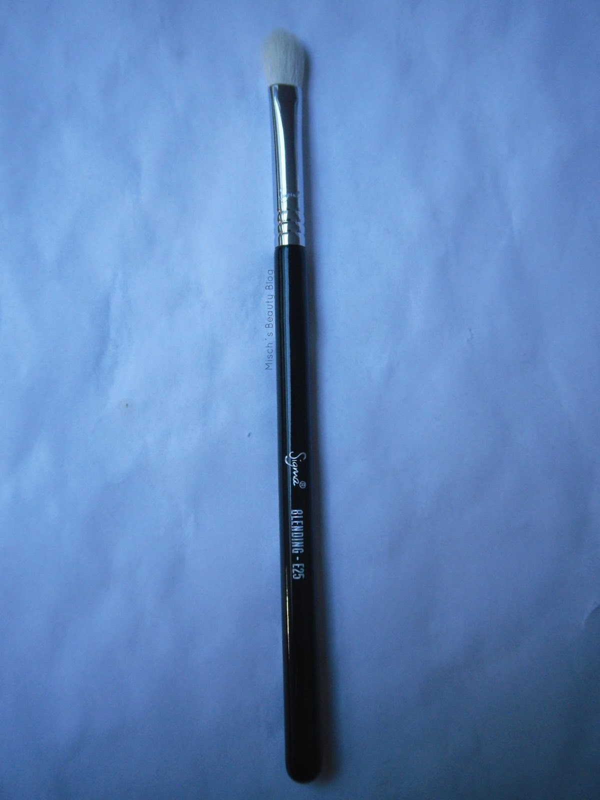 Misch's Beauty Blog: New Sigma Brushes! E30 and F40