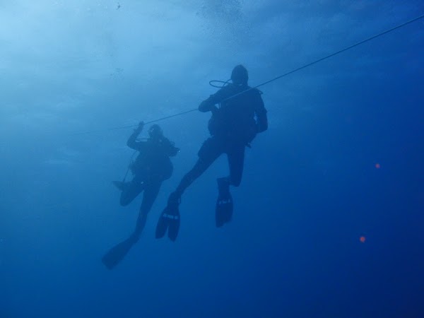 Best Spot Azores PADI 5* Dive Center: Scuba Diving Ponta Delgada Azores