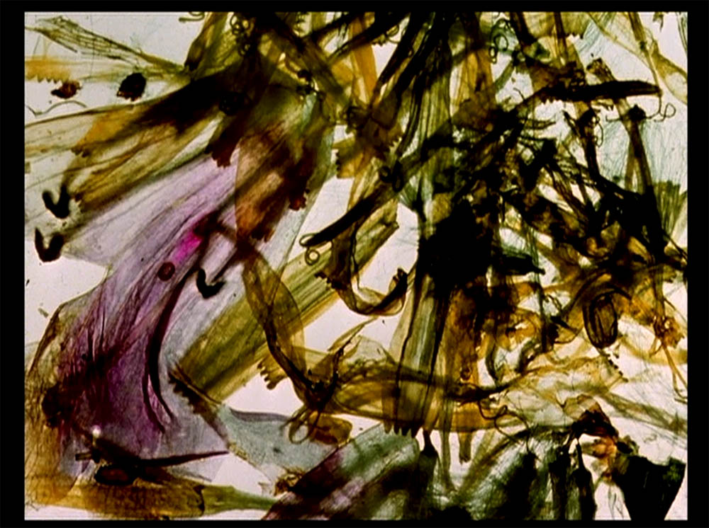 Captive Wild Woman: Stan Brakhage Film Stills from the Underground