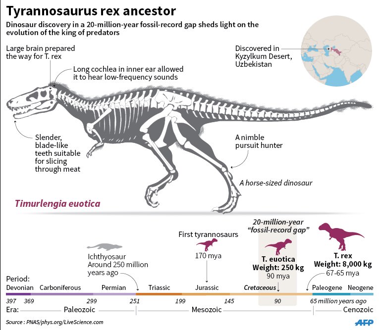 KARAKALPAKSTAN BLOG: Dinosaurs of Uzbekistan - Timurlengia euotica