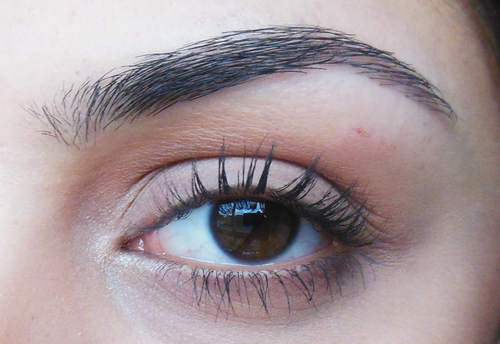 Fabuleuse Beauty: Brow Wiz vs. Dipbrow Pomade