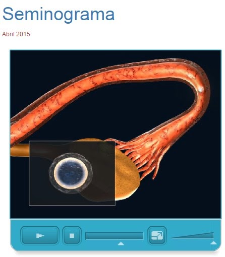 Centro de terapias alternativas para el embarazo: Seminograma