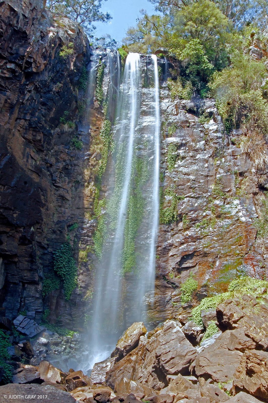 Water Dragons of Queen Mary Falls, Killarney
