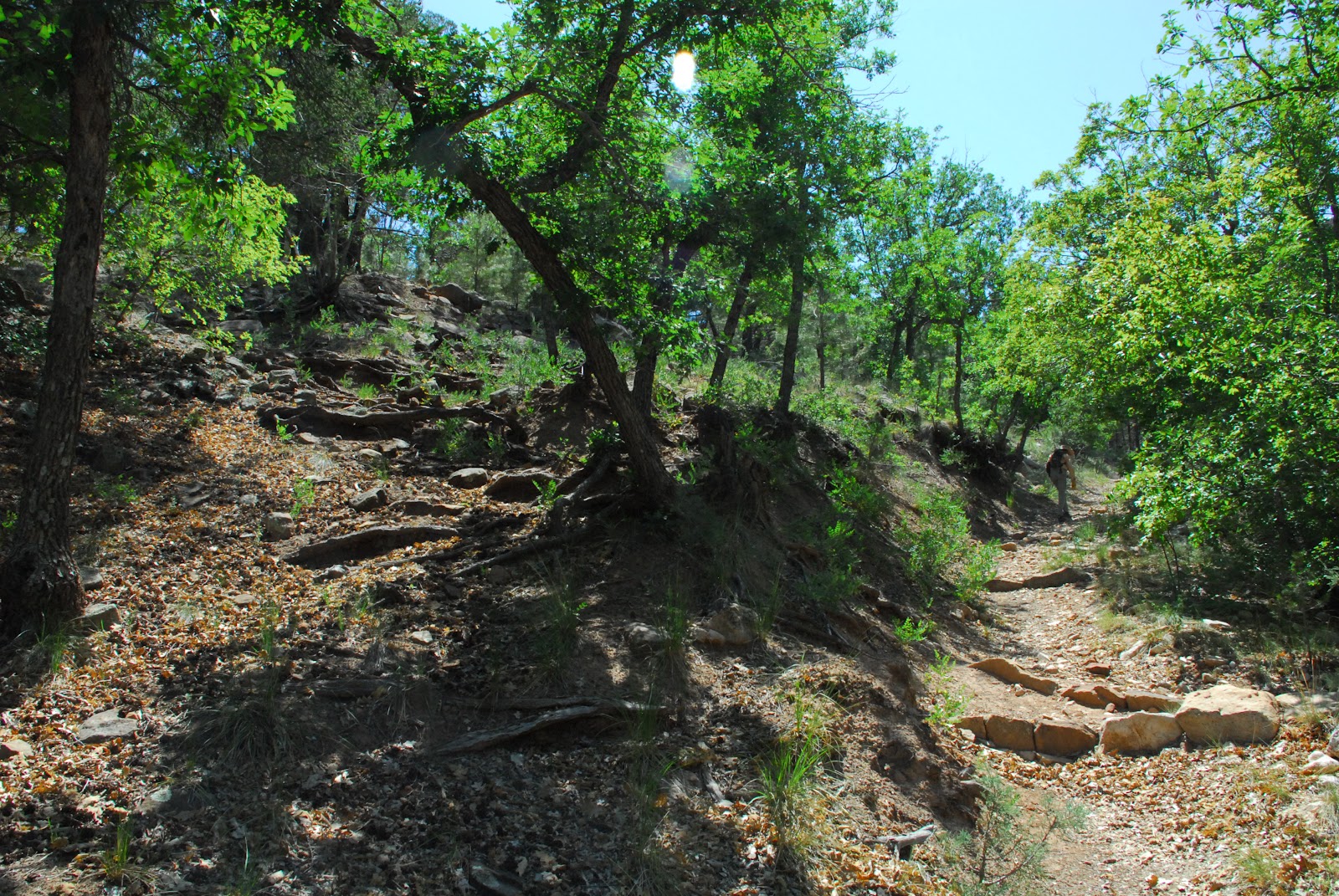 Texas Mountain Trail Daily Photo: Tejas Trail from Dog Canyon in ...