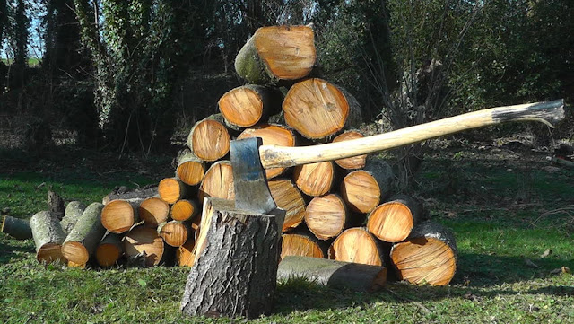 Lom Gom's Outdoor Adventures: Axe Safety