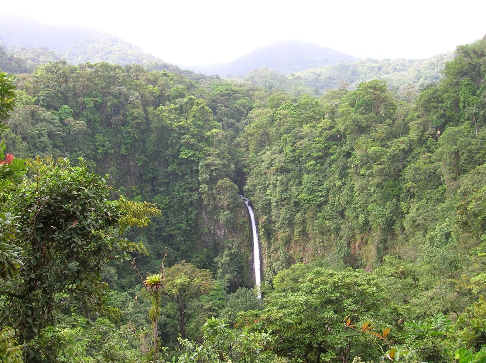 Viaje a Costa Rica (III) | La Vuelta al Mundo de Asun y Ricardo