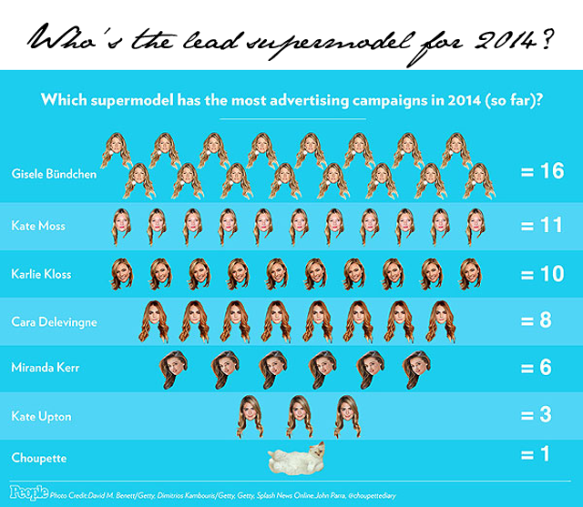 Which model has booked the most campaigns in 2014? - Emily Jane Johnston