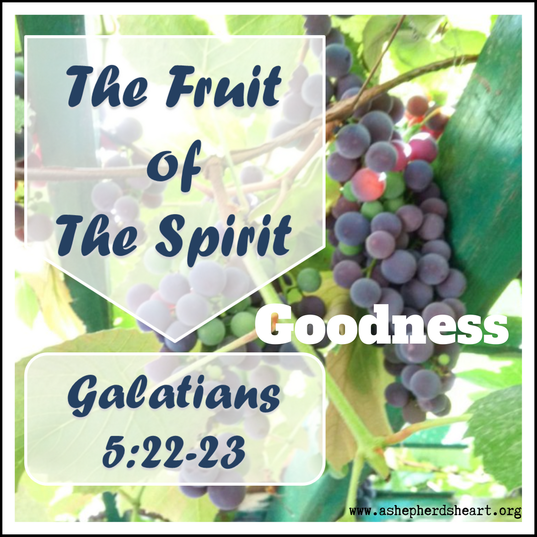 A Shepherd's Heart: The Fruit of The Spirit - Goodness