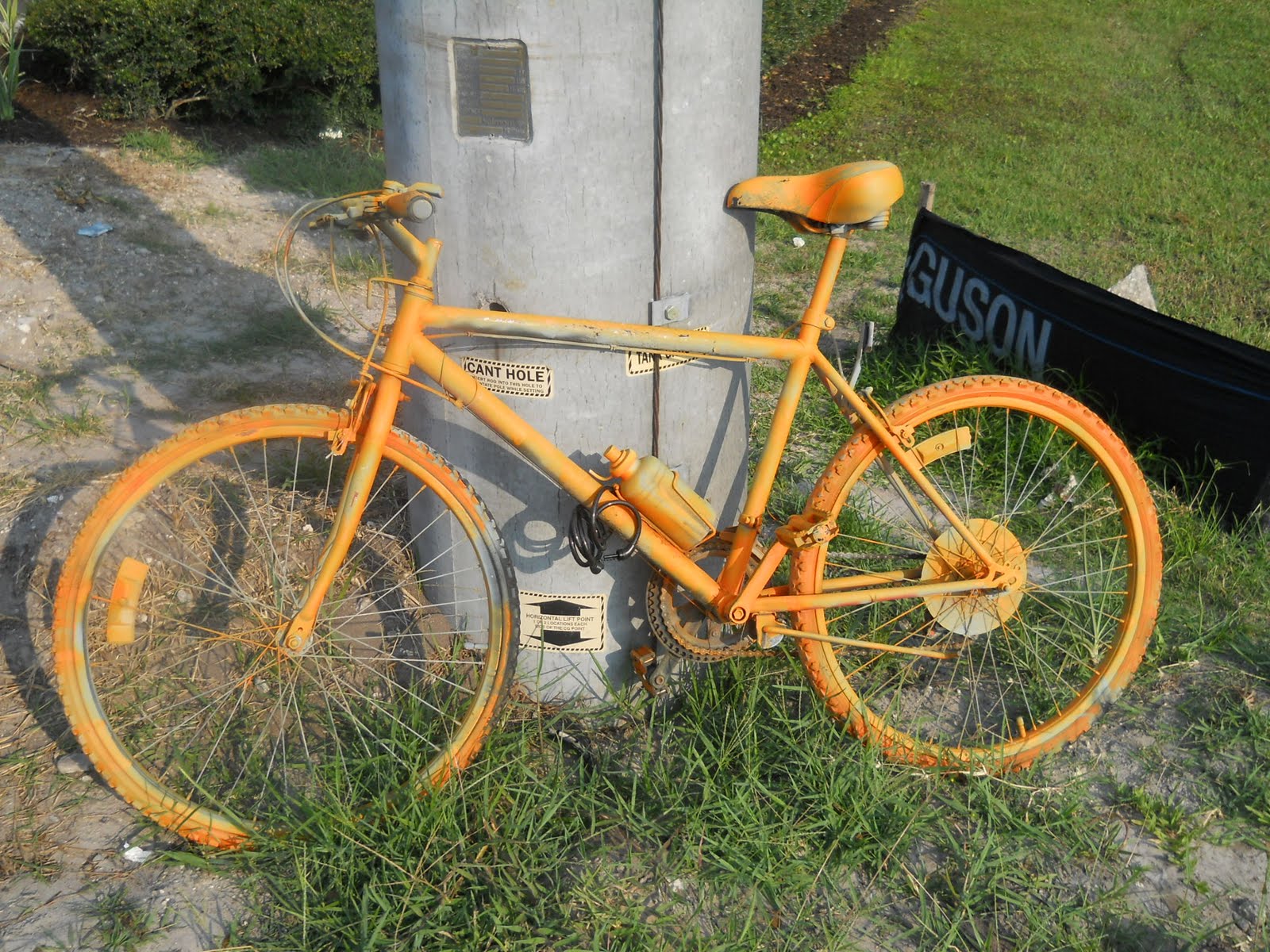 Bicycle Stories: Fitness Business Places Orange Bikes On Road In New Tampa