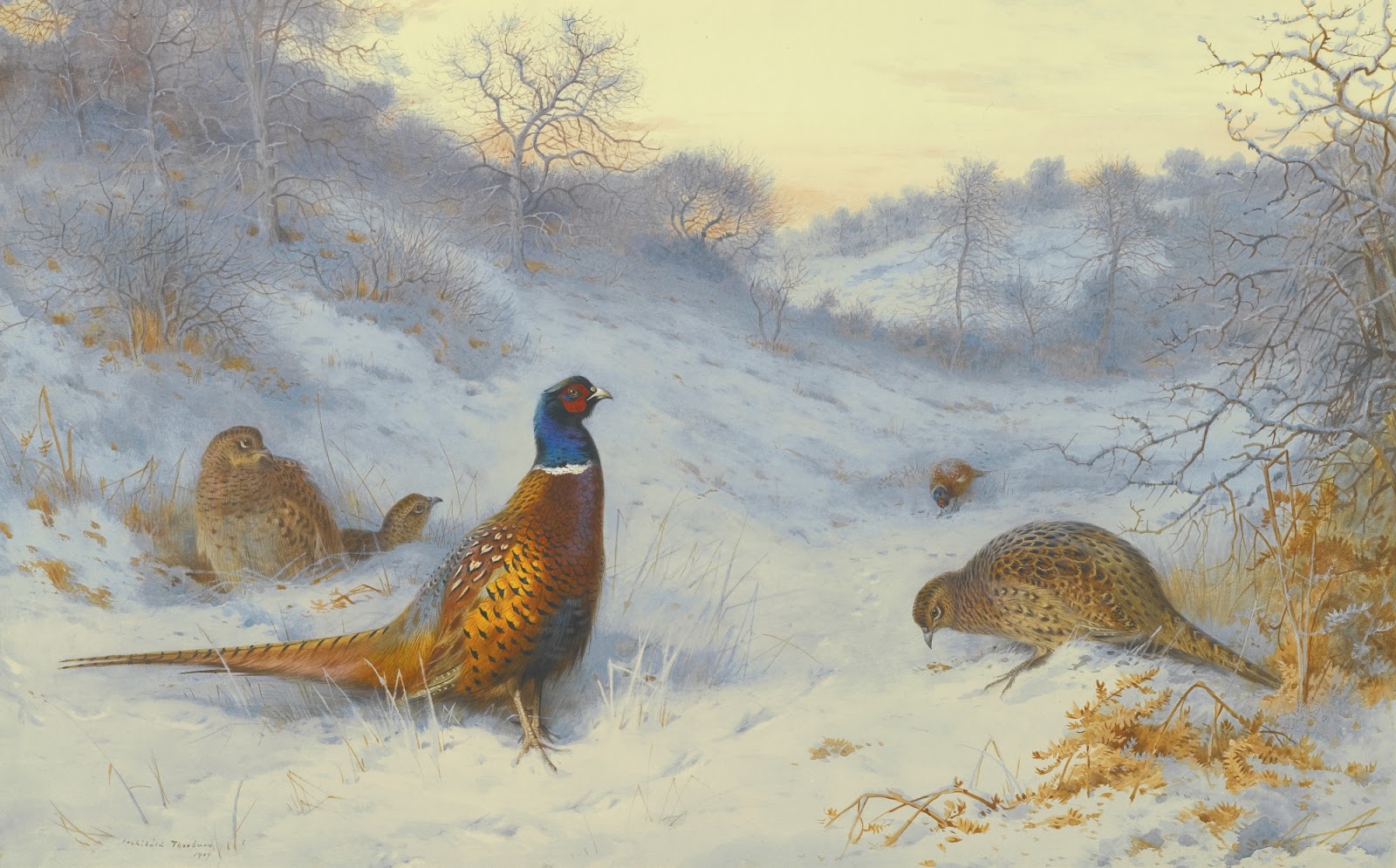 Archibald Thorburn | Naturalism wildlife painter | Tutt'Art@ | Pittura ...