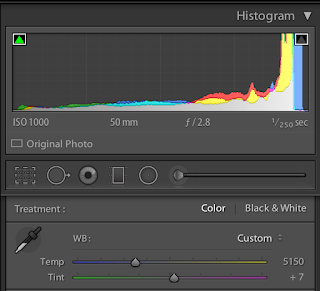 Mark Serrano: White Balance Adjustments with the Histogram