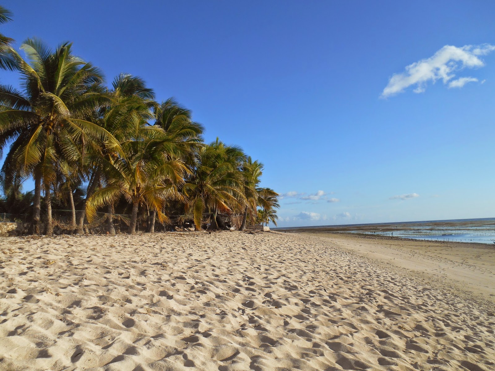 Pantai Nemberala, Surga Surfing Terbaru Di Pulau Rote, Indonesia