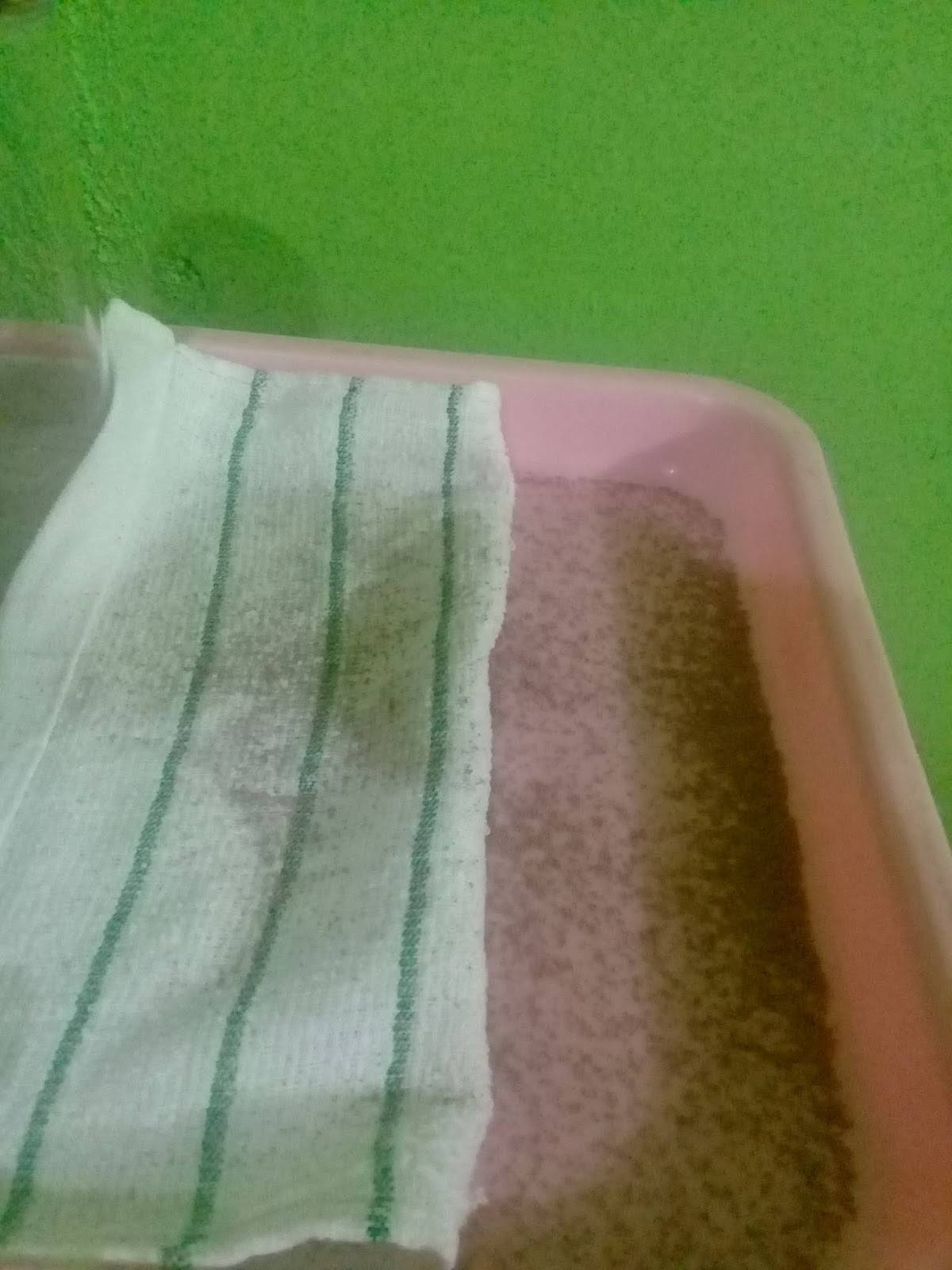 Frass or Termite Droppings? Whatever!