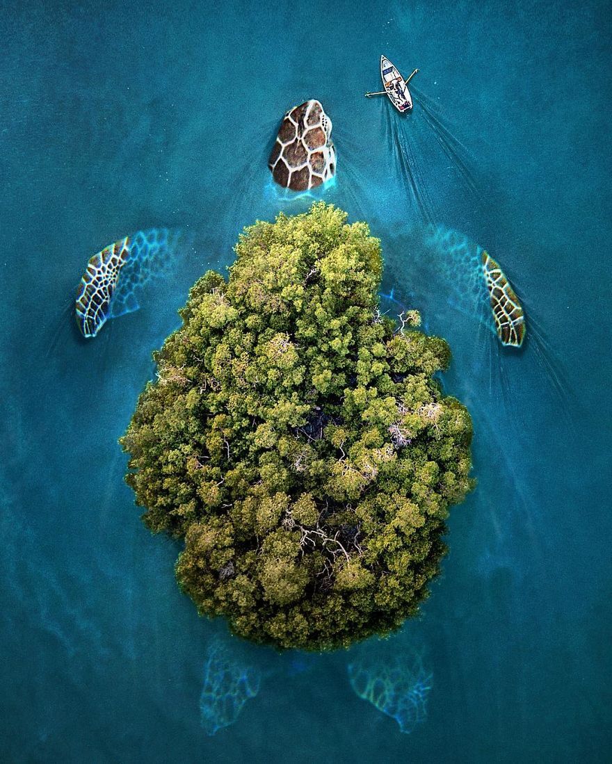 Design Stack: A Blog about Art, Design and Architecture: Art and nature ...