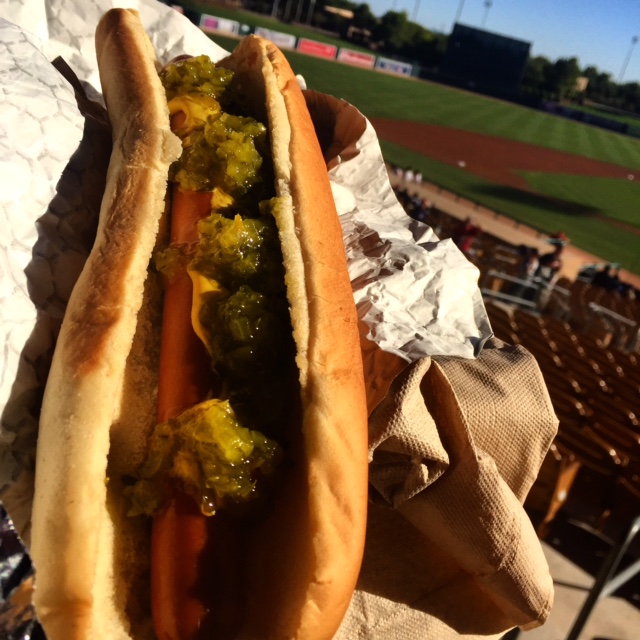 Blog About a Dog: Glendale Desert Dogs