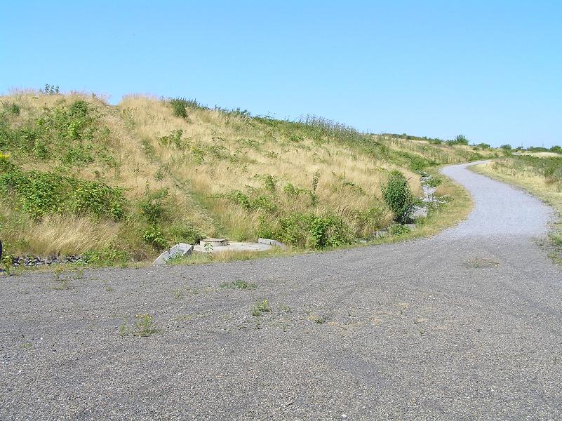 Heike Querbeet: Biotop-Exkursion