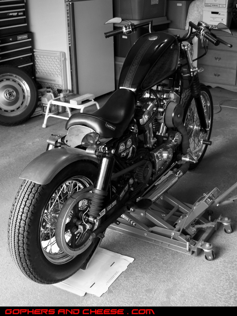 Gophers and Cheese: 2012.04