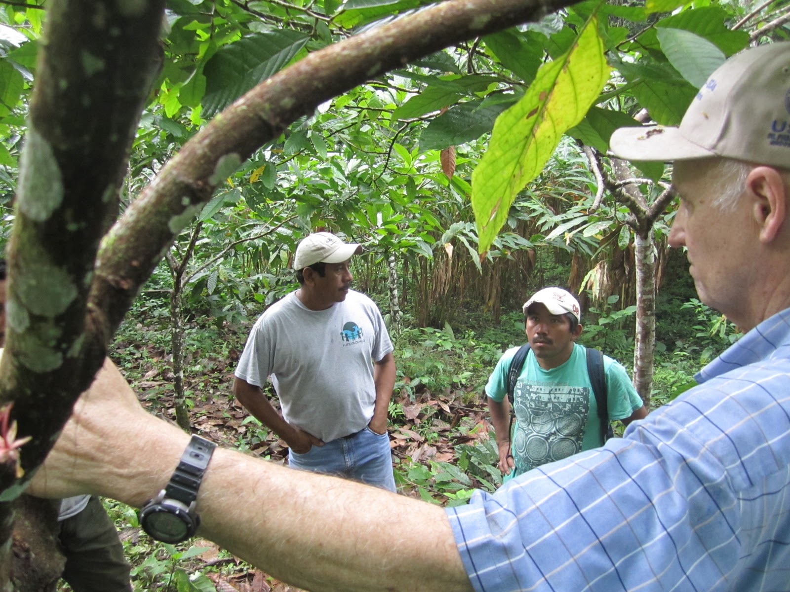 Vers un nouveau monde...: Produit agricole I: El Cacao
