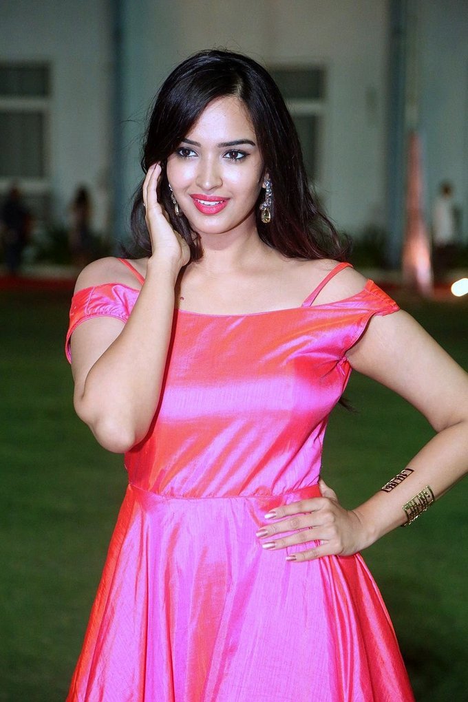 Poojitha at Darshakudu Movie Audio Launch Event Gallery