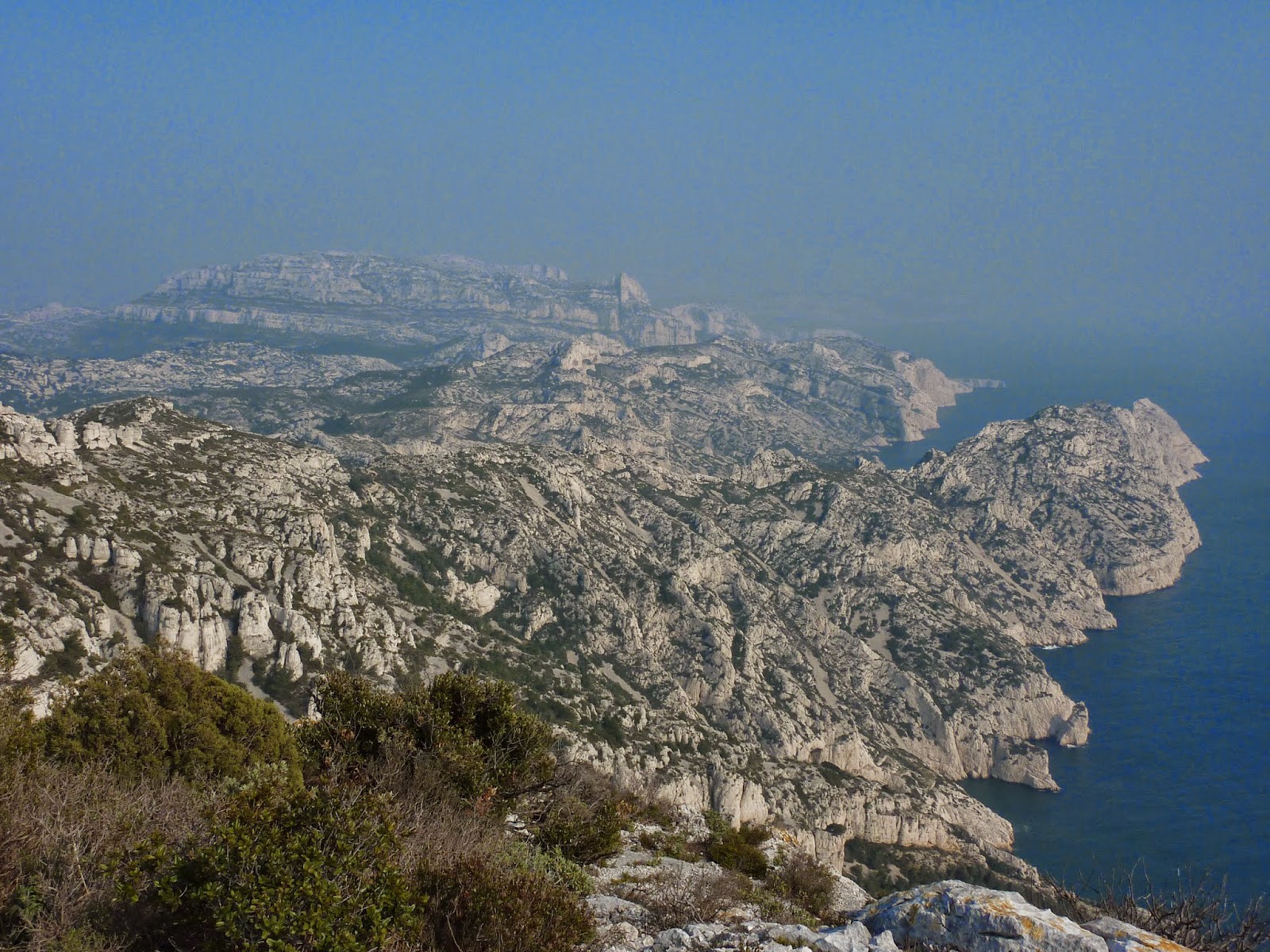 Randonnee initiation a la botanique dans les Calanques