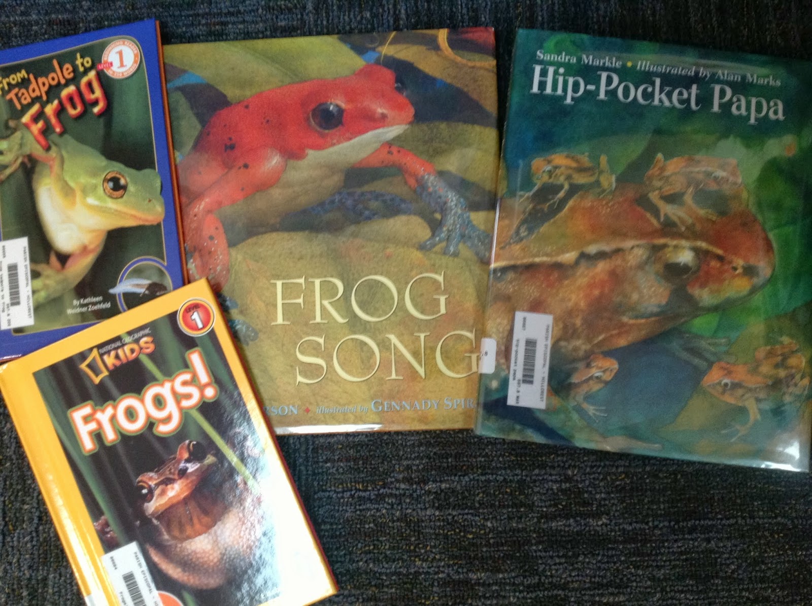 Library Voices: Inquiry and Frogs