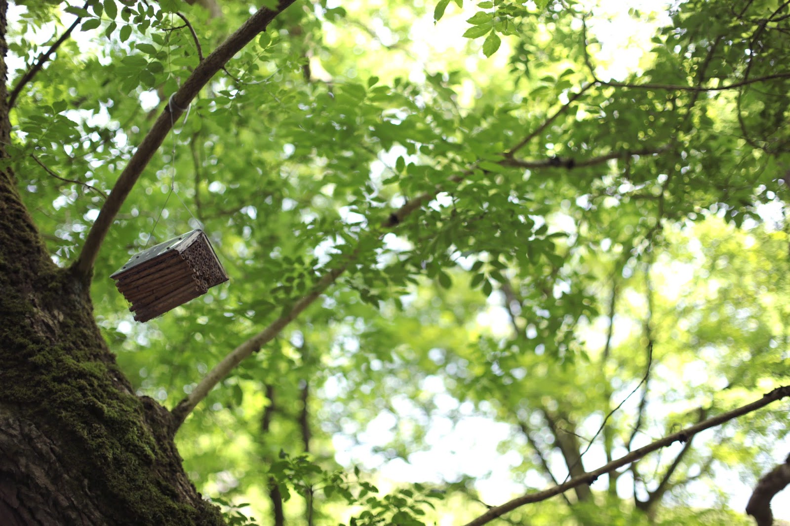 The Bee Bole: Malham Bee Library