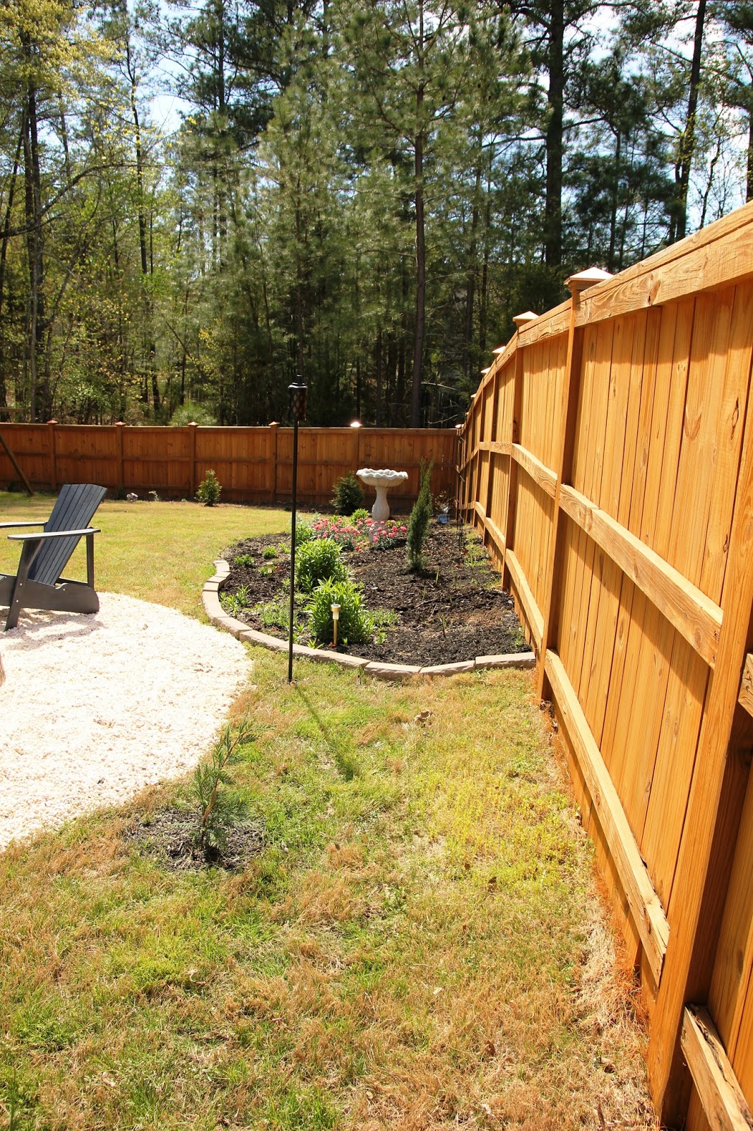 PeaHen Pad: Back yard is coming along