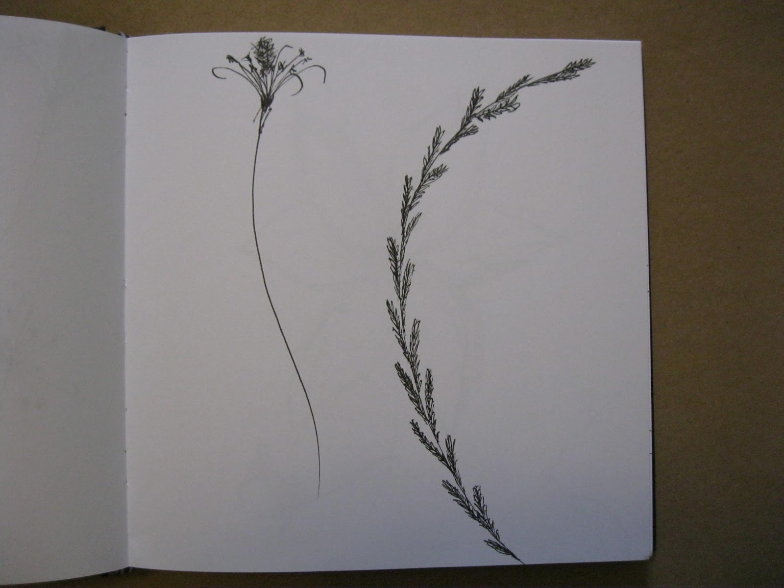 Studio Notes: Beginning to draw