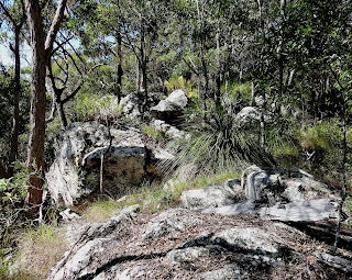 sunshinecoastbirds: Hiking in the Blackall Range