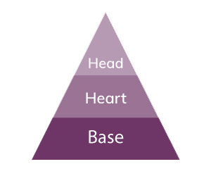 What is the Fragrance Pyramid and Perfume Notes? - FM Perfumes ...