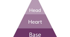 What is the Fragrance Pyramid and Perfume Notes? | FM Perfumes ...