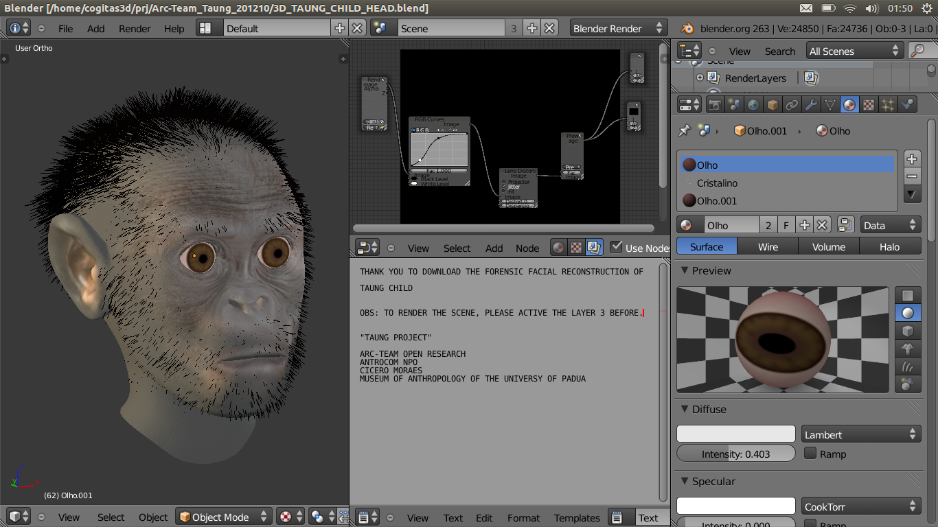 ATOR: Taung Project: 3D Forensic Facial Reconstruction