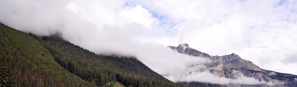 FREE WEB HEADERS: 20+ AMAZING NATURE HD WEB HEADER COLLECTION 1