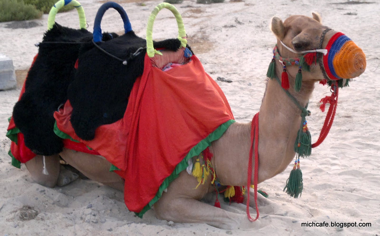 Mich Café: November 2011