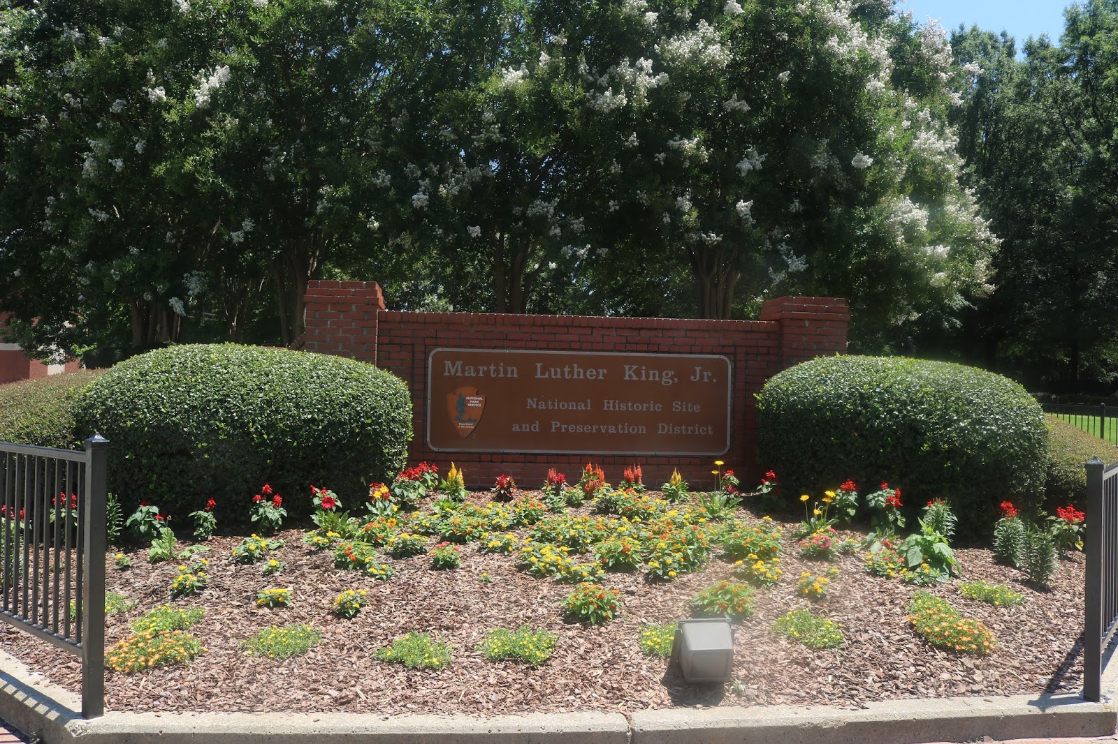 Summer vacation - Atlanta, Georgia + Disney World - ⎨mary in america⎬