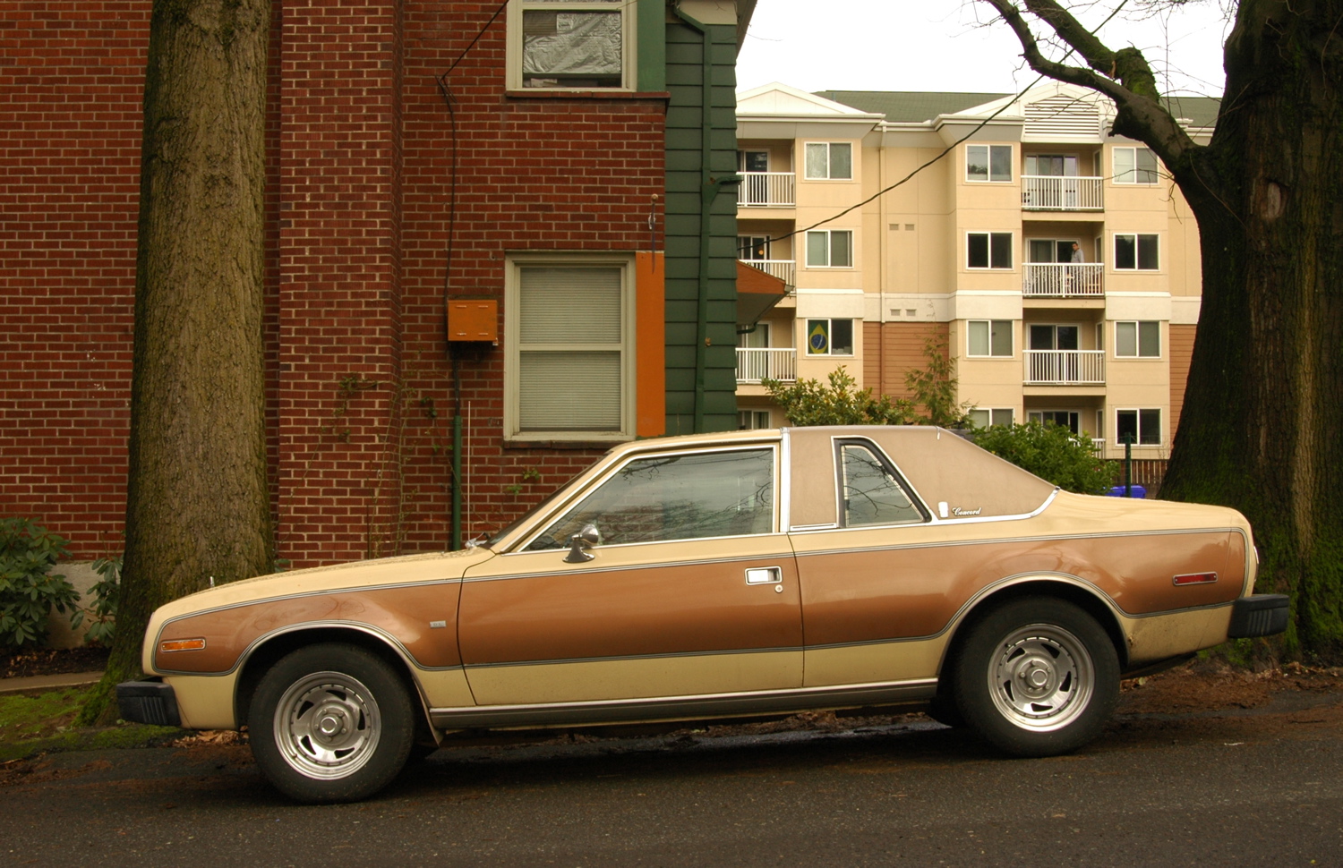 OLD PARKED CARS.: Saturday Bonus: 1979 AMC Concord DL, revisited.