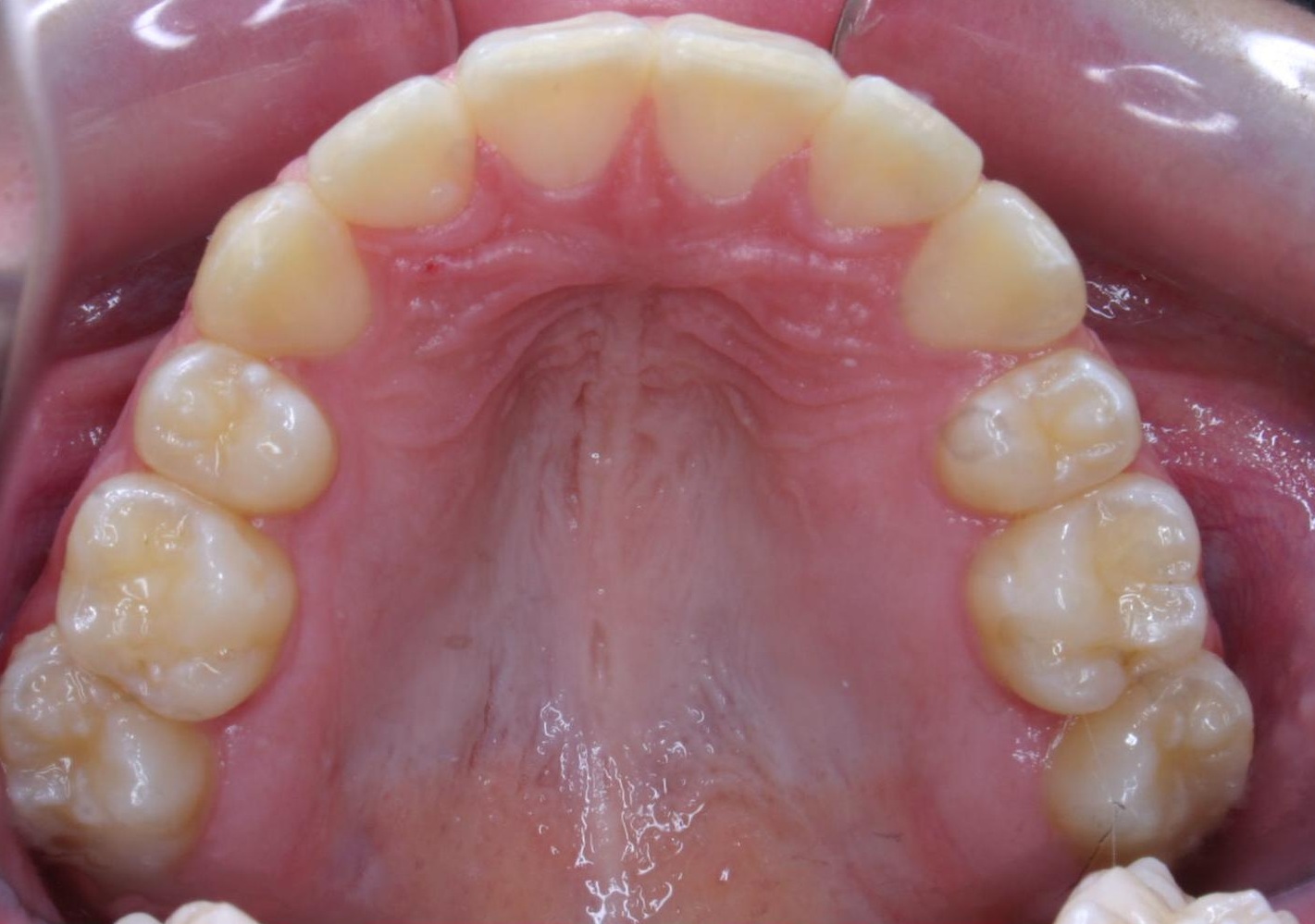 Avery Orthodontics: The Art, Science and Excitement of Orthodontic ...