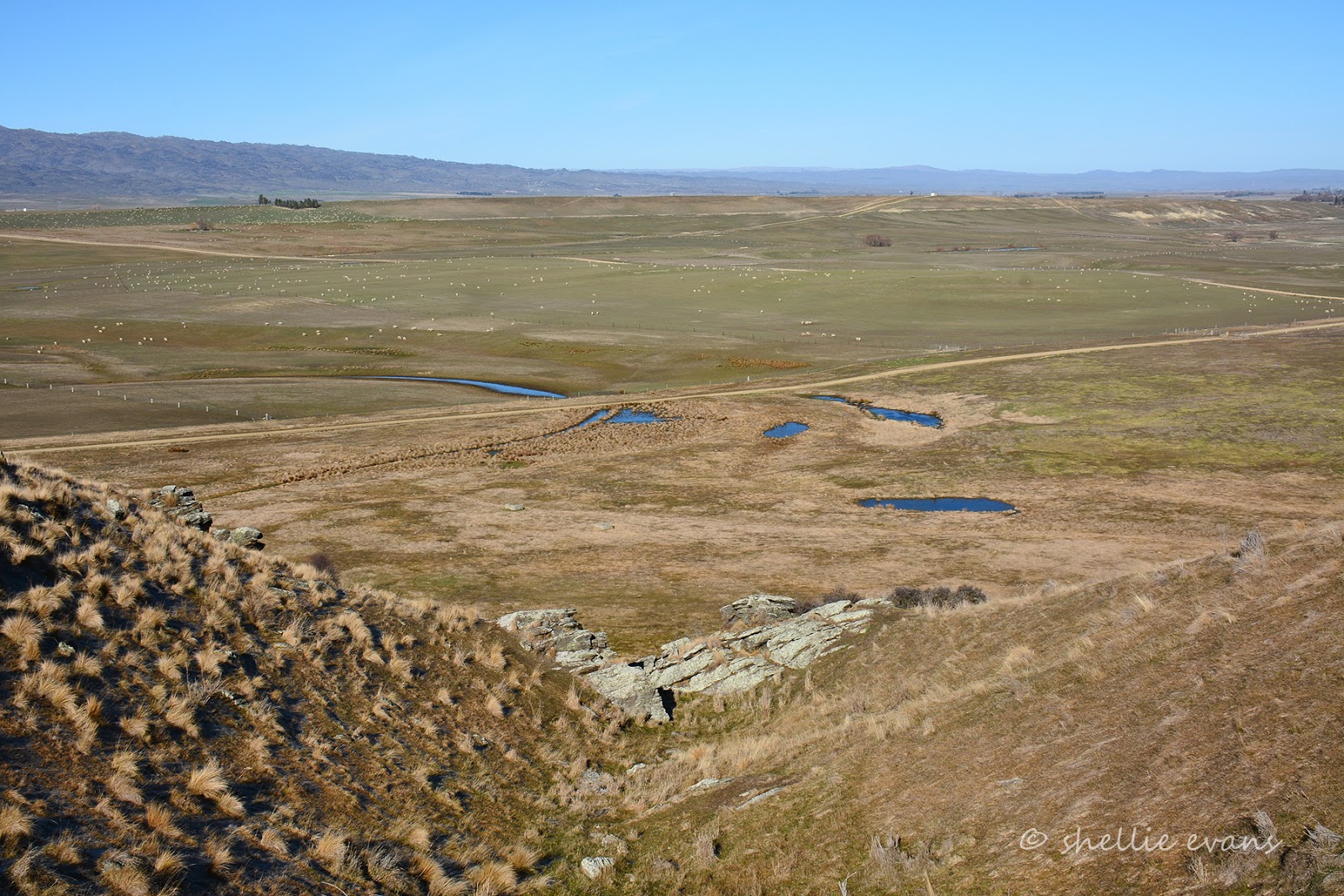 Two Go Tiki Touring: Ida Valley & the Cheat’s Rail Trail- Part 1