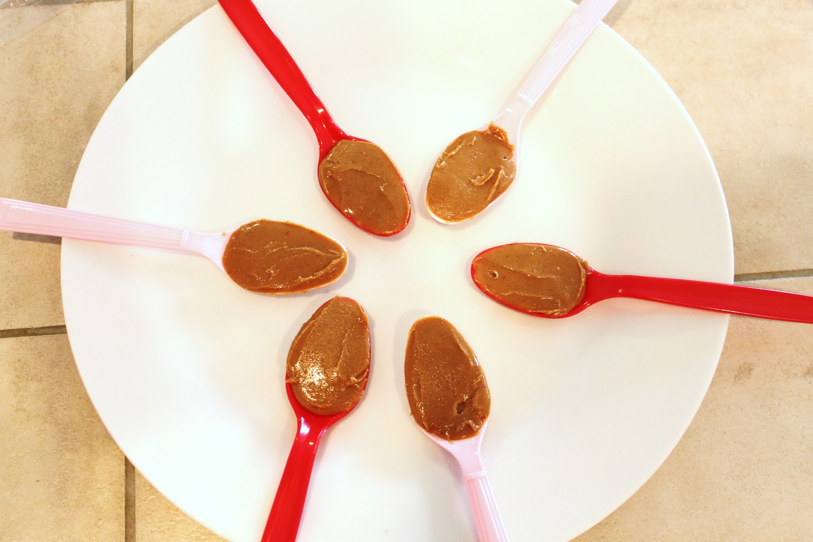 The Creative Side! Inside The Cates Castle: Chocolate spoons with PB in ...
