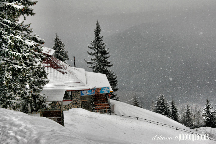 Photographis: Winter in March