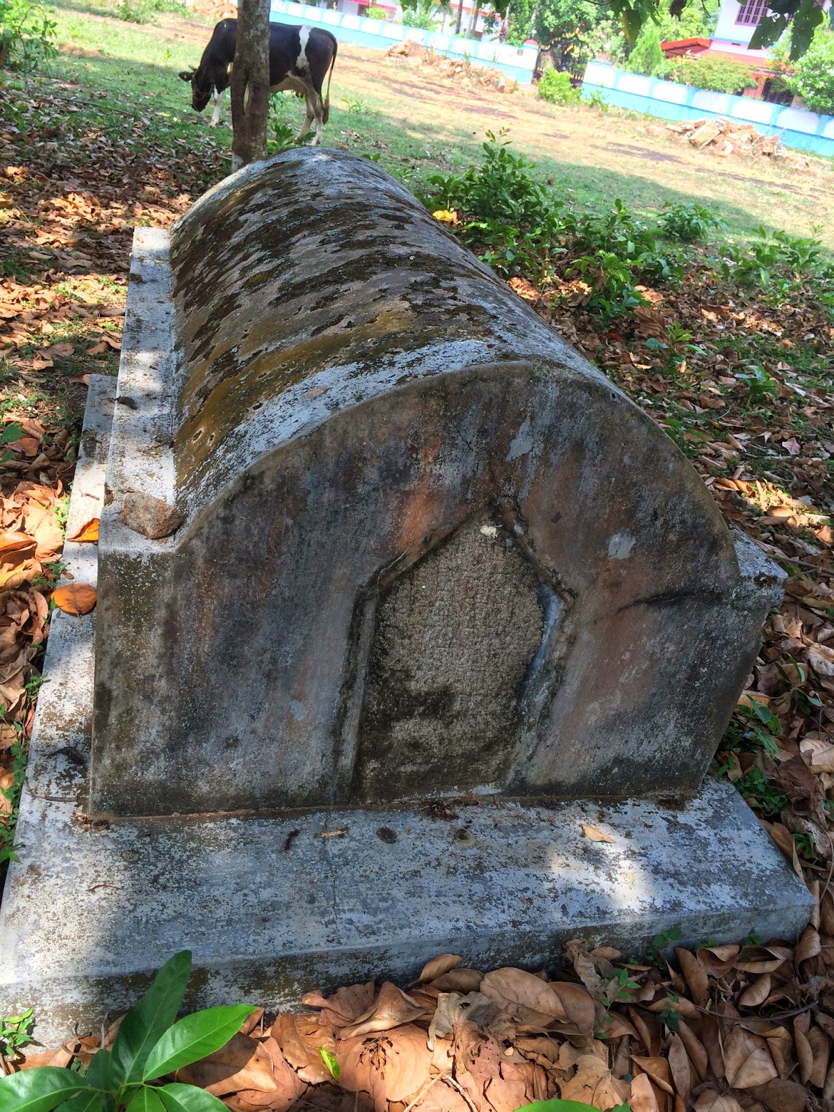 The Physician Anthropologist: MALA SYNAGOGUE, AN ENCHANTING EXAMPLE OF ...