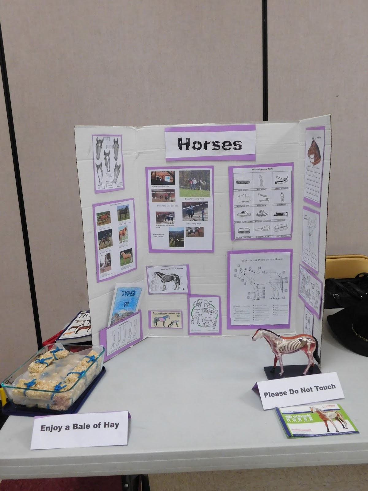 Attending Our Science Fair