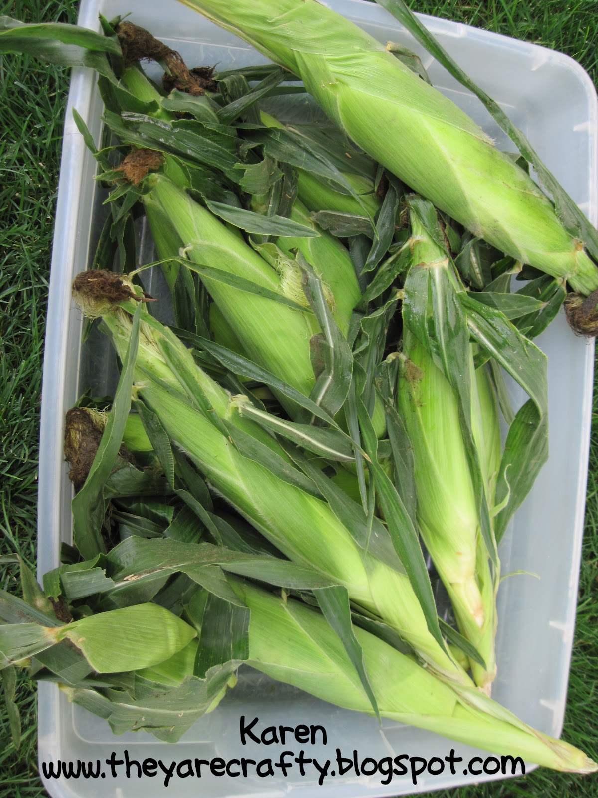 They Are Crafty: Freezer Corn