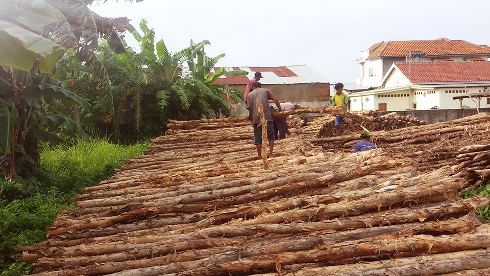 JUAL KAYU TURAP TIANG PANCANG KAYU DOLKEN GELAM.: Melayani pengiriman ...