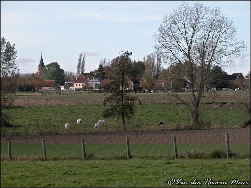 Landelijk Aaigem: Wandeling naar Ressegembos