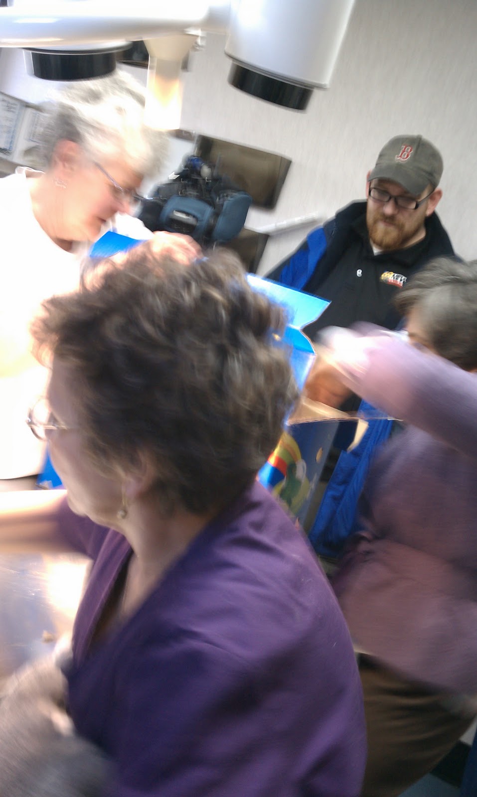 Purr-Views: Post Op Report on Operation CatSnip