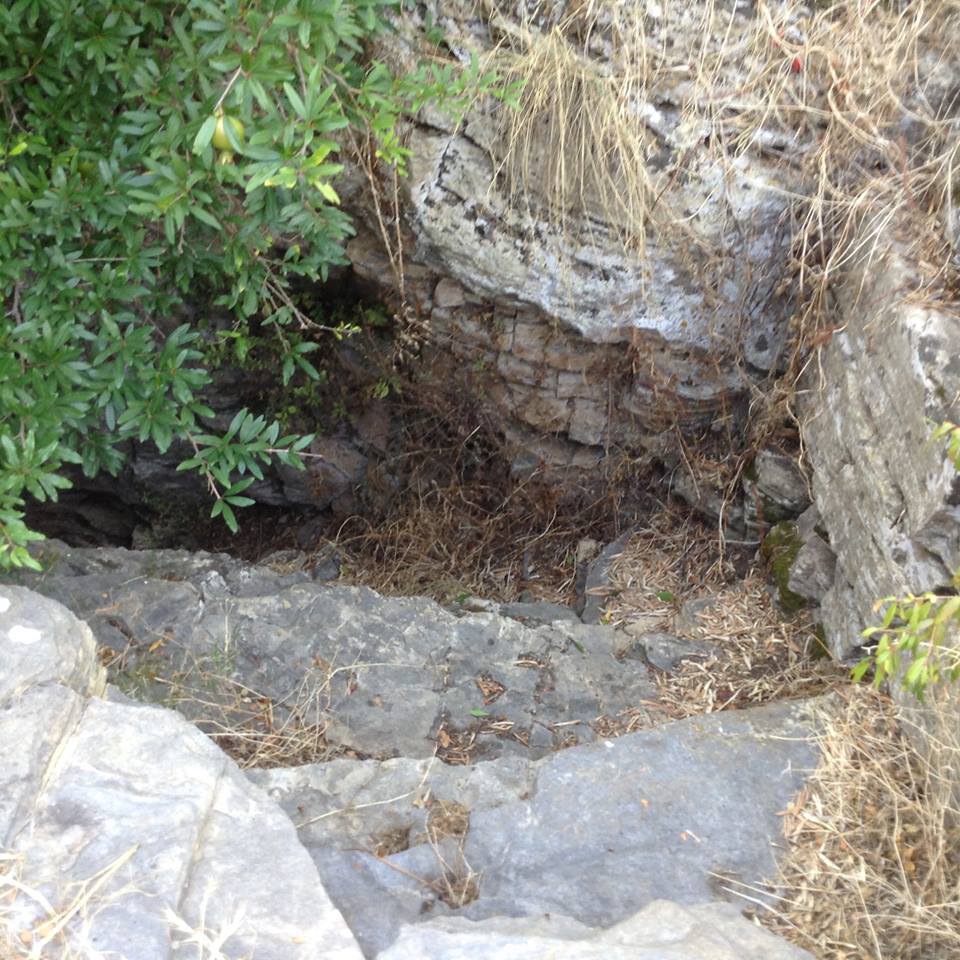 Hellenic Art of Living . Inioxos Iolkos .: ΑΡΓΟΝΑΥΤΙΚΑ - ΣΤΗΝ ΣΗΠΙΑΔΑ ...