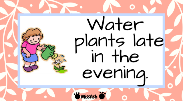 ASH THE TEACHER: Every Drop Counts (Water Conservation)