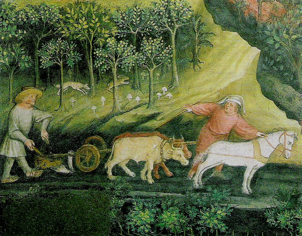 Imparare con la Storia: 19 Il feudalesimo