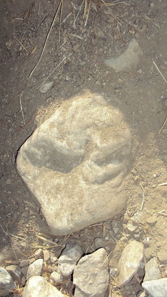 NICK'S ODD PIC(S) OF THE DAY: The Stone-Faced Alien